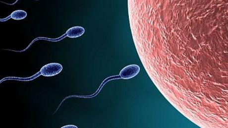 从受精卵到婴儿出生,3D动画演示宝宝发育全程,太震撼了!