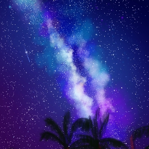 星火桑 