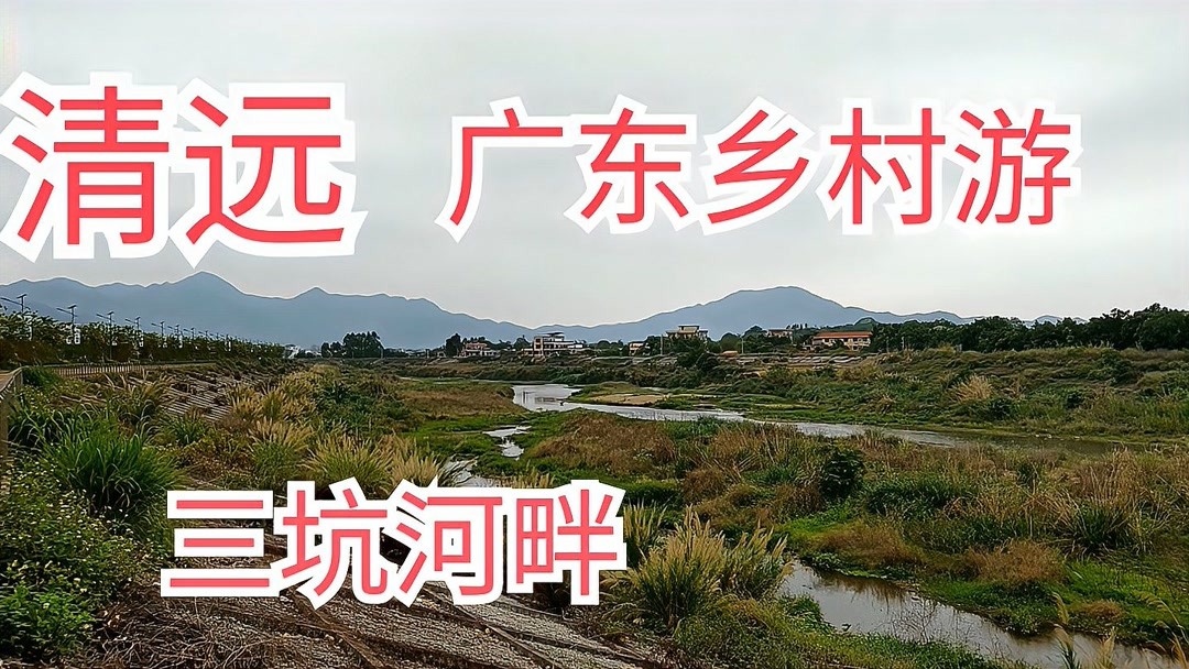 广东醉美乡村游-202104清远清新自驾游三坑镇三坑河