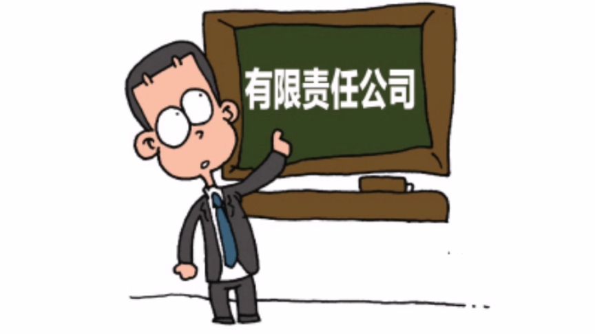 公司的有限责任是什么意思?#法人 #法定代表人 #法人代表
