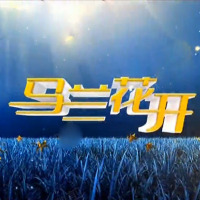 欢乐驿站进行时 