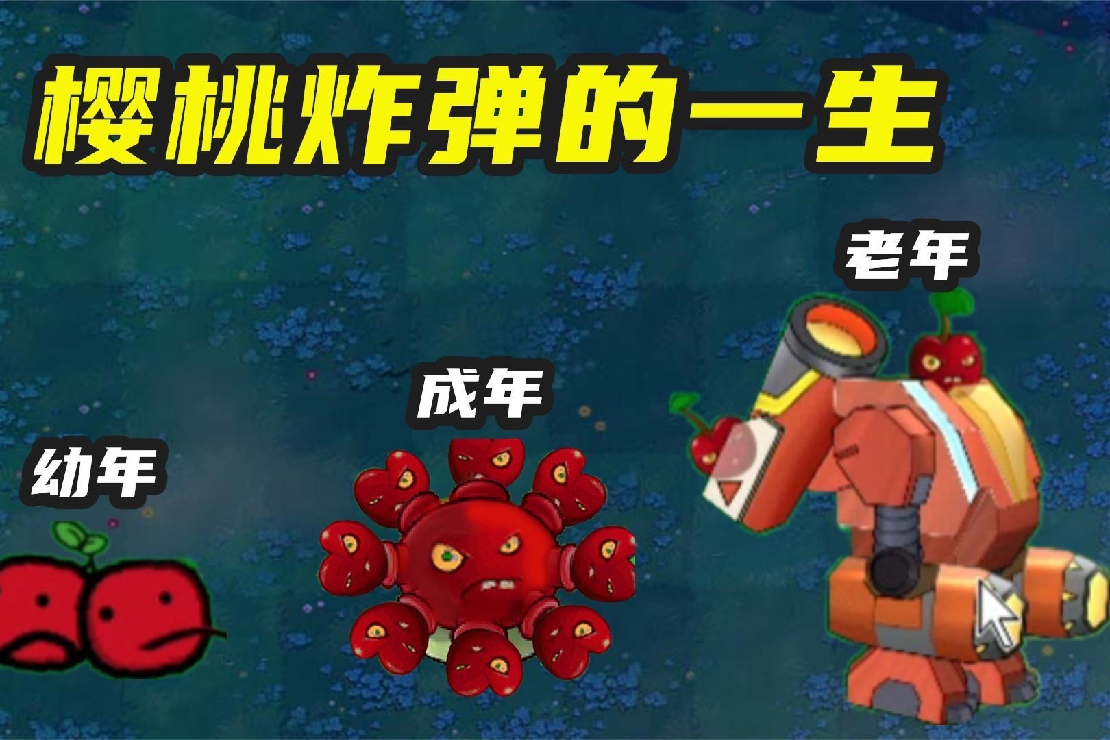 植物大战僵尸:盘点樱桃炸弹的一生,少年暴躁,老年成机甲战士!