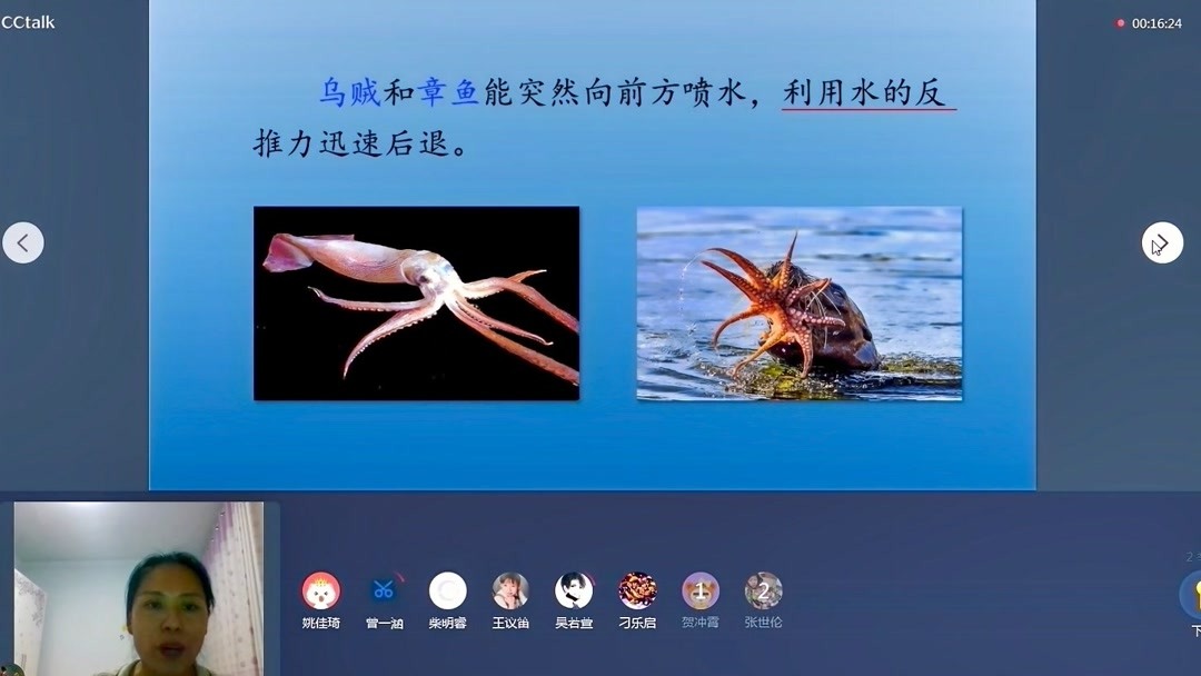 张依琳《海底世界》