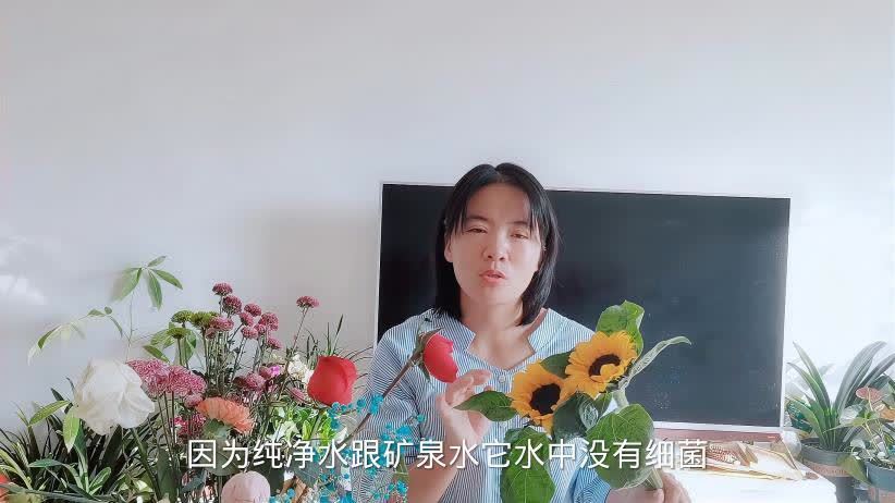 向日葵花的结构