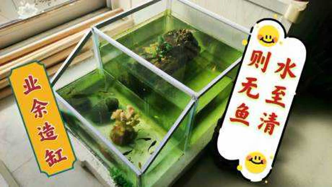 小伙用几块旧玻璃,做个性鱼缸,卖一百值吗?