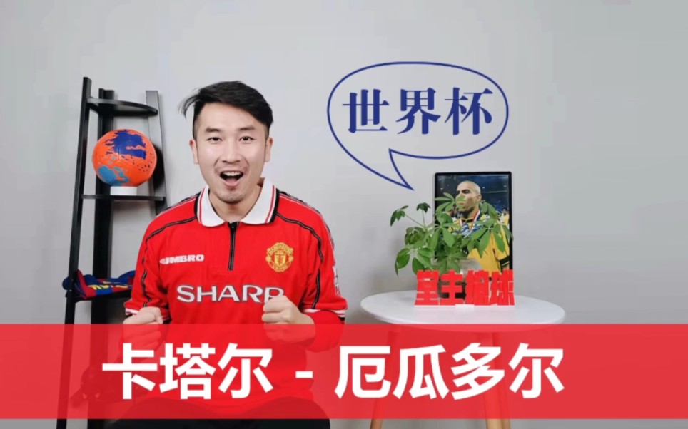 卡塔尔世界杯:卡塔尔VS厄瓜多尔