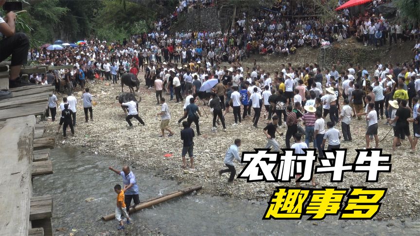 人到处乱跑就会被踩死,不信请你们仔细看!
