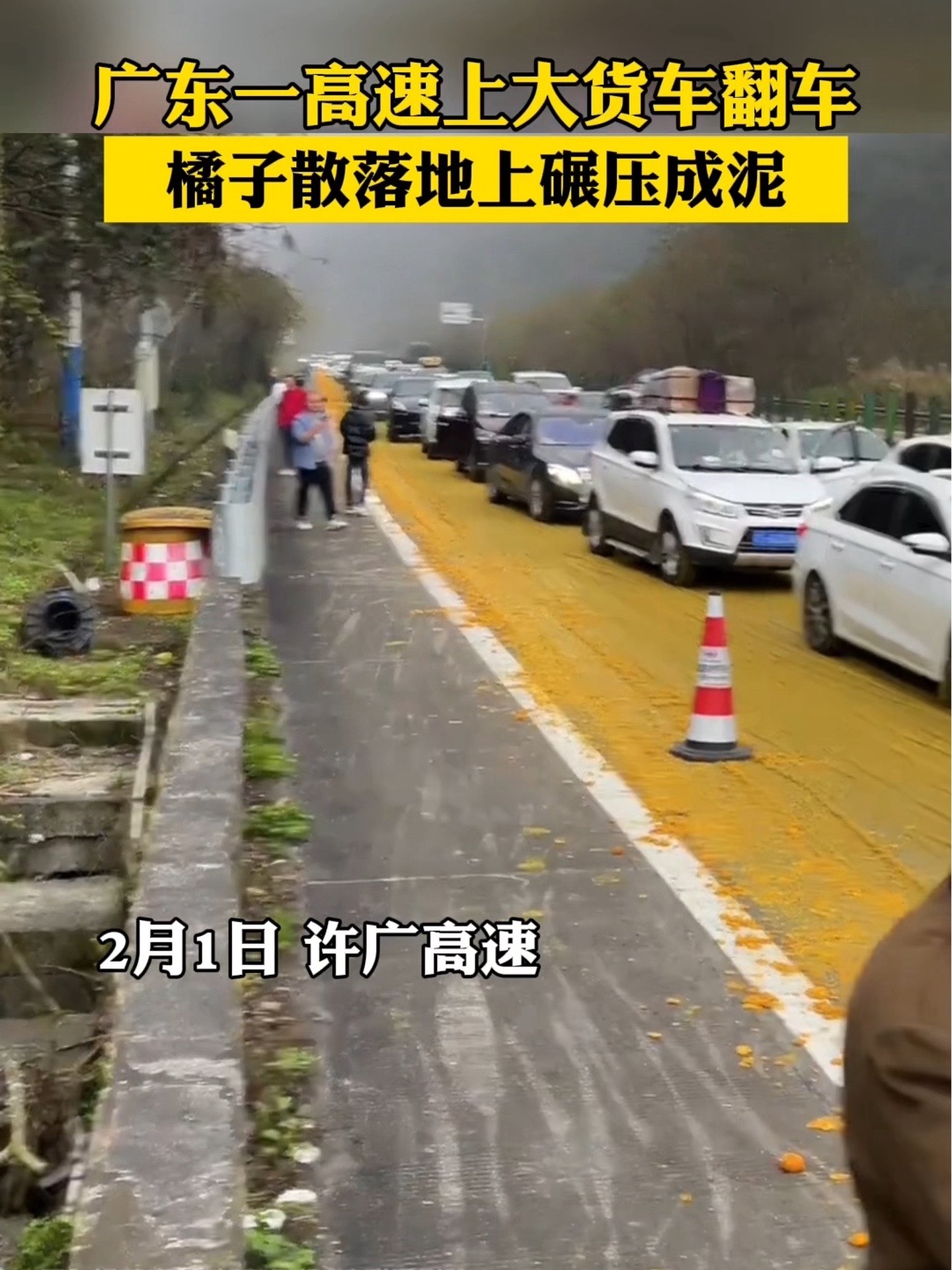 广东一高速上大货车翻车!现场橘子撒满路上,碾压成泥…