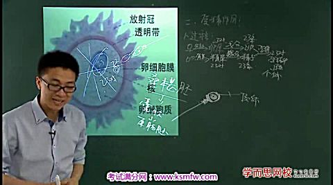 减数分裂与受精作用知识点 高中生物 13课时学完生物必修2 高阳【全...