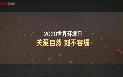 【我们没有照顾好大自然】