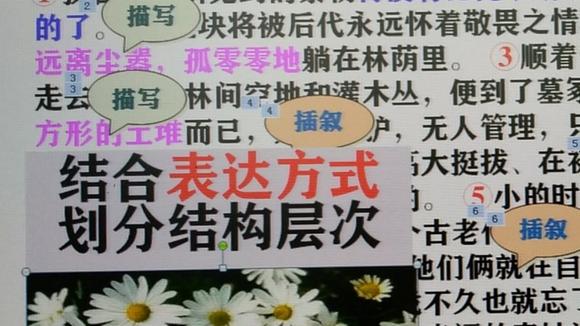 结合表达方式给《世间最美的坟墓》第1自然段划分层次,清晰准确