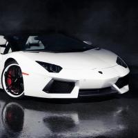 吉吉国王来侃车 