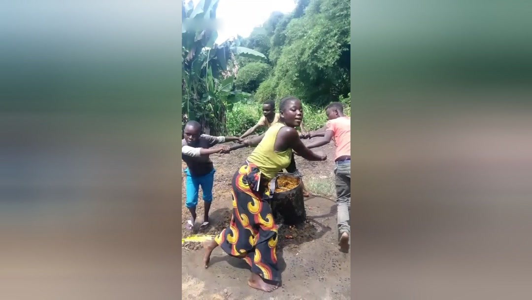 这是在榨棕榈油,这种技术出油率很低,浪费很大!没有先进的设备,没有电...