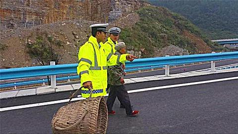 意外撞死了横穿高速的行人, 车主到底要不要负责? 这里告诉你答案