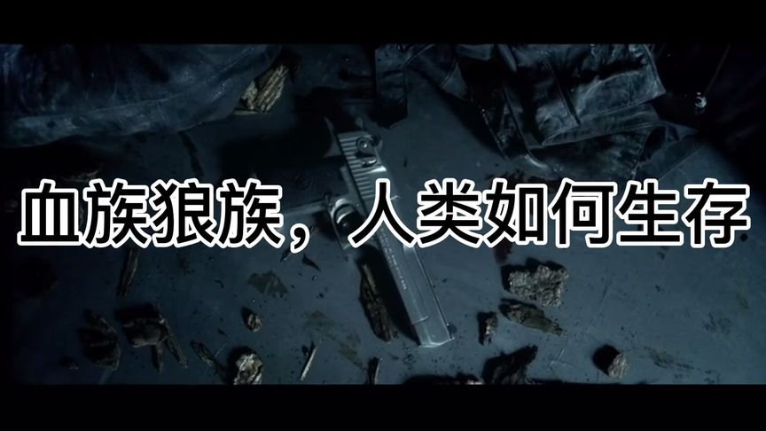 黑夜下,血族狼族新的交战开始,人类又该何去何从。