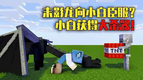 我的世界:裤子教你玩模组 当小白获得了TNT