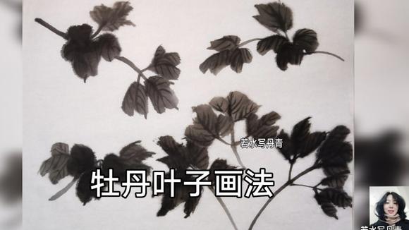 写意牡丹叶子的画法,国画水墨牡丹花枝叶组合画法,如何用笔用墨