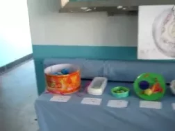 舒兰十八中高一生物真核细胞三维结构模型展