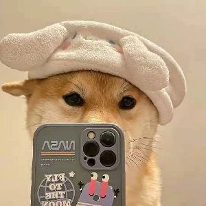 心心念旋 