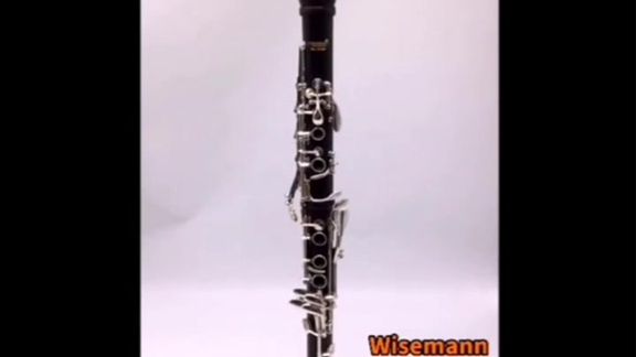 维斯曼DCL-800EB专业级单簧管#音乐 #乐器 #管乐 #木管 #单簧管 #绿...