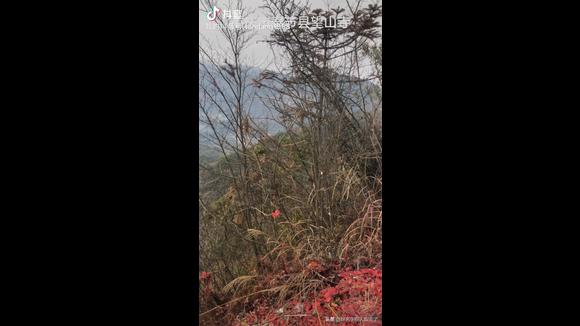 重庆奉节(望山寺)在当地非常火的一座老庙,很多传说起源于此地