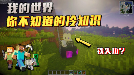 我的世界:你不知道的5个冷知识,坐矿车还可以穿透基岩?