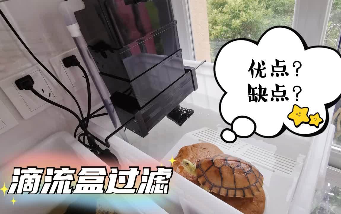 【养龟设备】滴流盒过滤开箱组装,细说这款过滤的优缺点,你觉得好用...