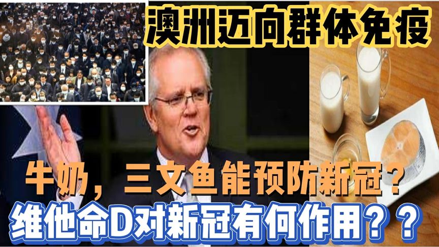 澳洲迈向群体免疫!牛奶三文鱼预防新冠?维他命D对新冠有何作用