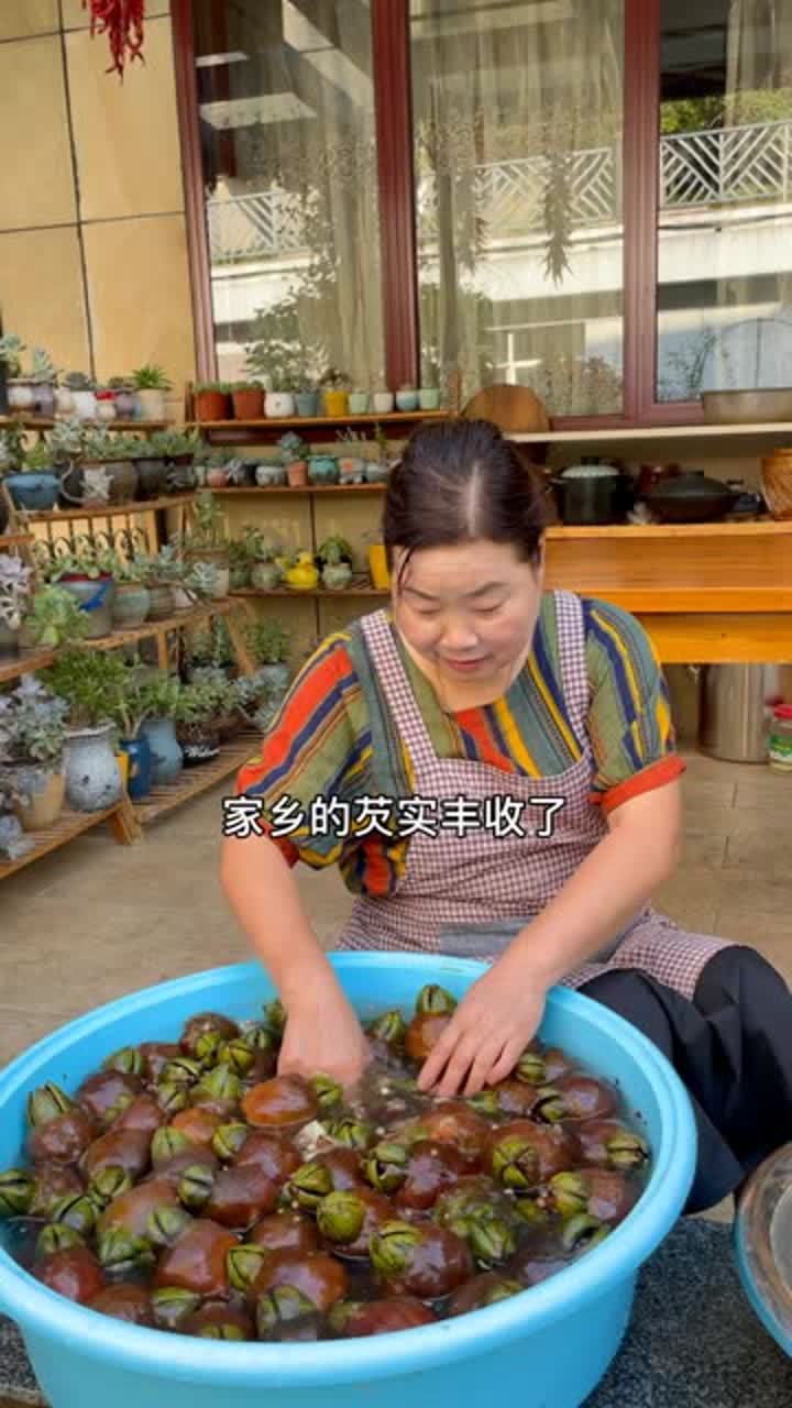 朋友们,家乡的芡实丰收了,芡实像我这样做你们吃过吗?