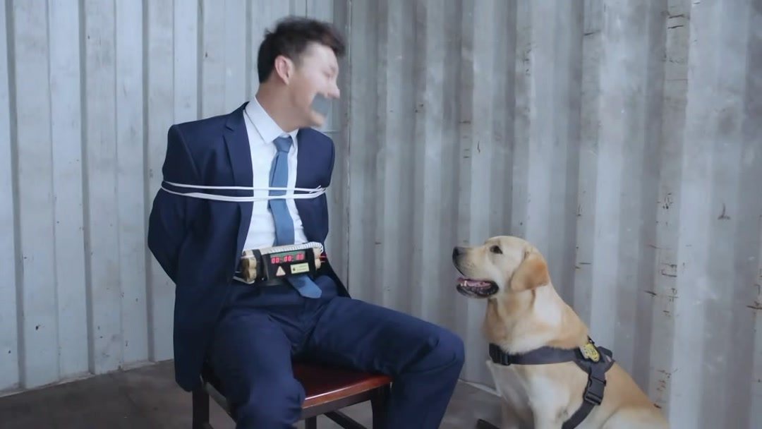 《神犬小七3》小七帮助林海涛拆除炸弹 还好敖力有教过