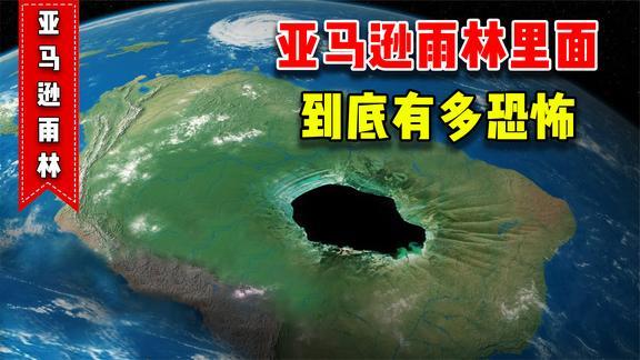 亚马逊雨林有多恐怖?为何被称为“动植物的天堂,人类的禁地”?