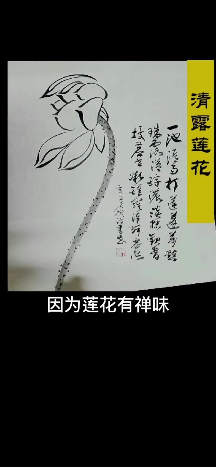 国画荷花教程