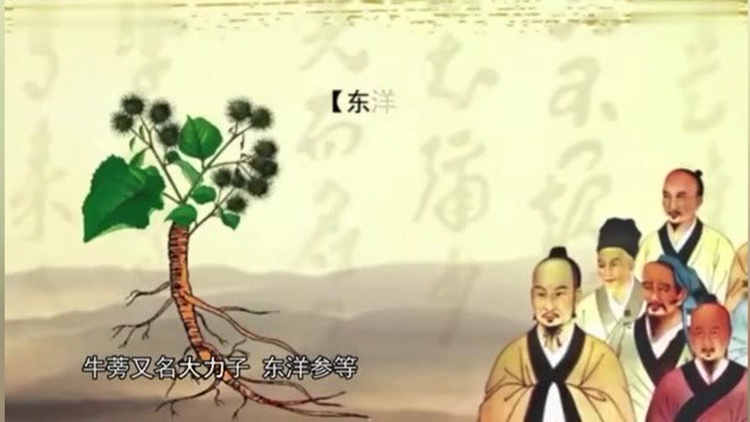 健康养生牛蒡茶
