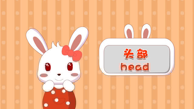 兔小贝英语宝典《身材形容词》