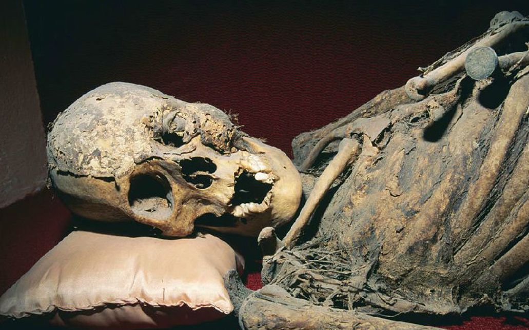 人死之后,身体里的血液到底去哪了?