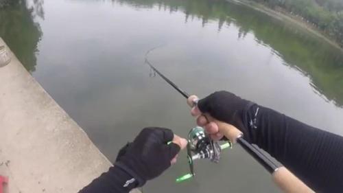 达瓦exist伊克斯,邦汤姆267ml,挑战巨物,猖獗出线