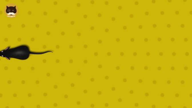 逗猫视频(给猫看的视频)模拟抓老鼠