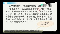 猫第二课时2.mp4