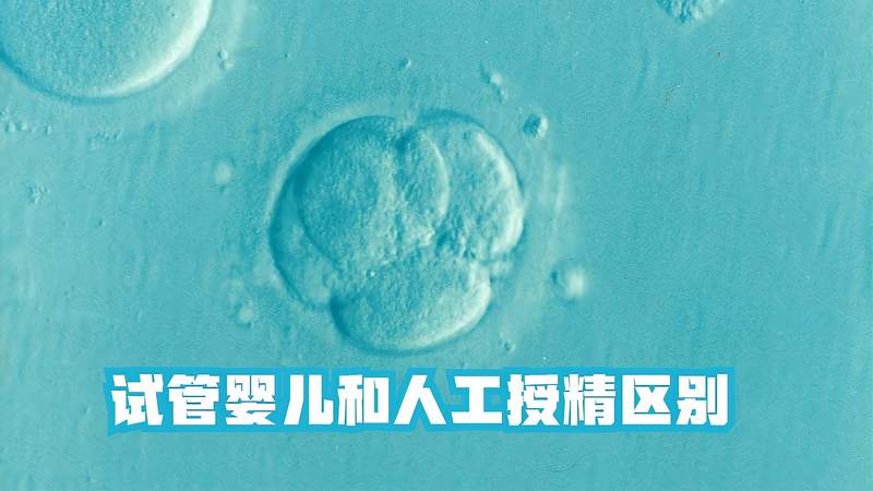 人工授精和试管婴儿,它们本质到底有哪些区别?可别混为一谈!
