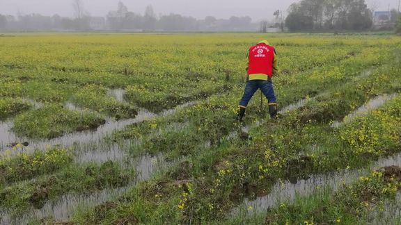 和湖南同事共同推进农业社会化服务,收获满满。脚下有泥心中有光