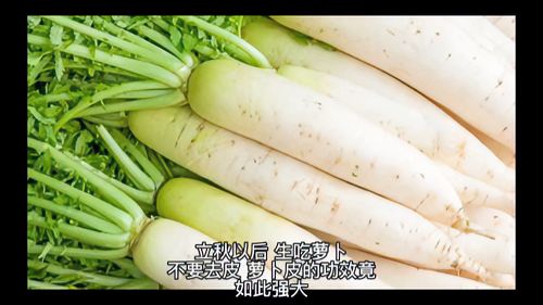 萝卜皮是个宝,生吃萝卜不要去皮,萝卜皮的功效尝试之后才知道
