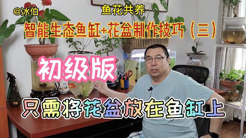 鱼花共养:智能生态鱼缸+花盆制作技巧(三)