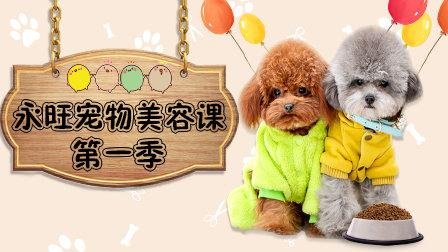 剪刀的种类 18