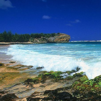 大鱼用户1575096803426547 