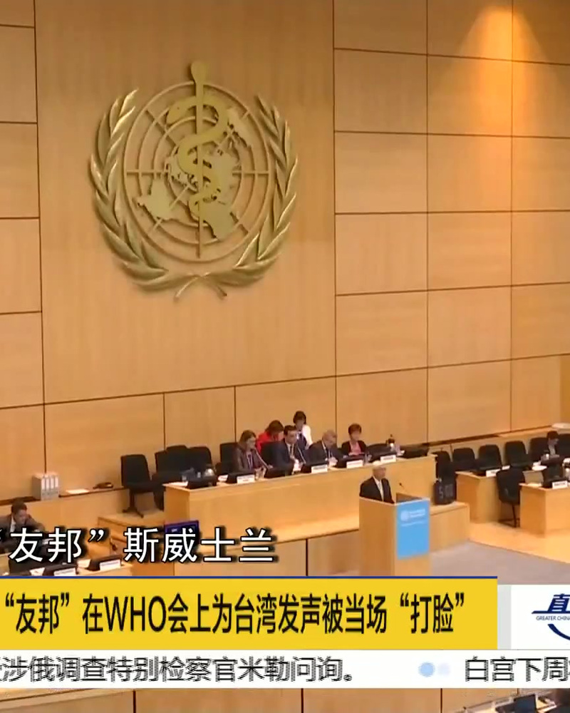 这些国家在世界卫生组织大会上妄议台湾被立刻打断…