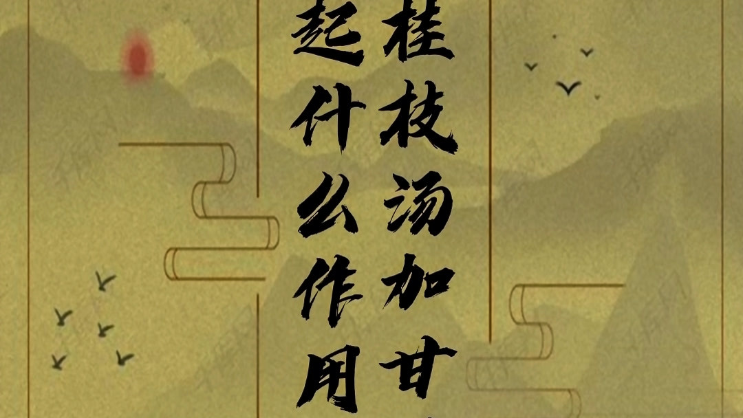 桂枝汤加甘草起什么作用?