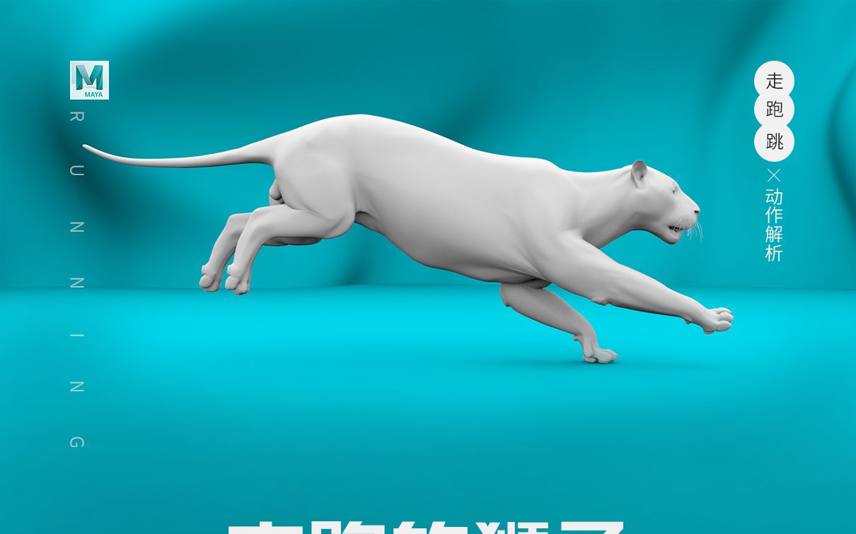 (试看)四足角色动画《奔跑的狮子》生物动作详解教学