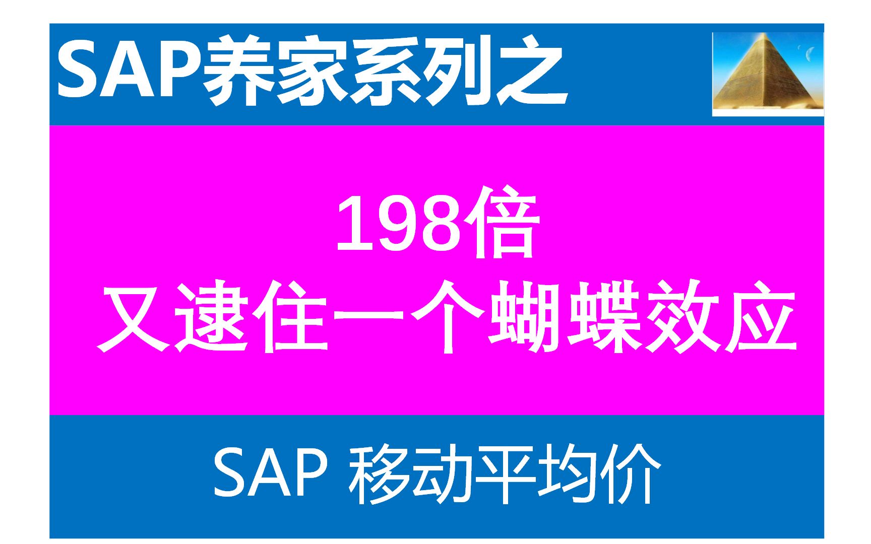 蝴蝶效应198倍 SAP FICO SAP S4 HANA SAP MM SAP ABAP