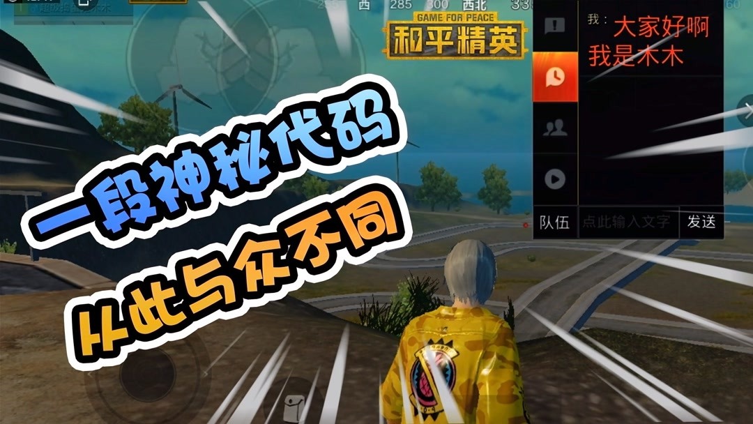 和平精英:一段神秘代码,让你的和平精英从此与众不同