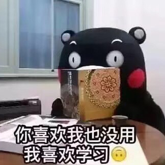 你的莉ilil 